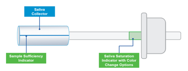 Saliva Collection Media for Accurate Results